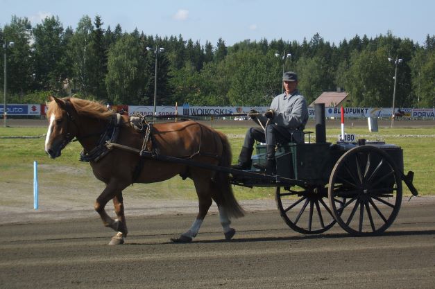 Välilehti: Perustietoa ja historiaa suomenhevosesta | Tutustu suomenhevoseen (avoin) | Hippos
